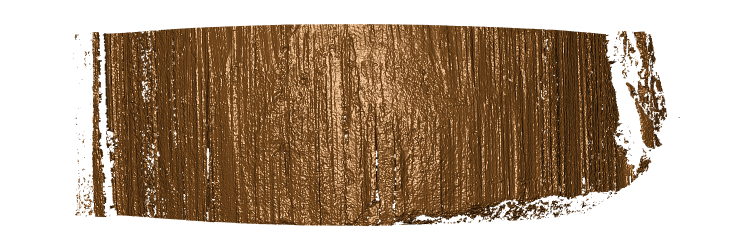 Quality Assessment of Scans of Land Engraved Areas on Fired Bullets • DS401